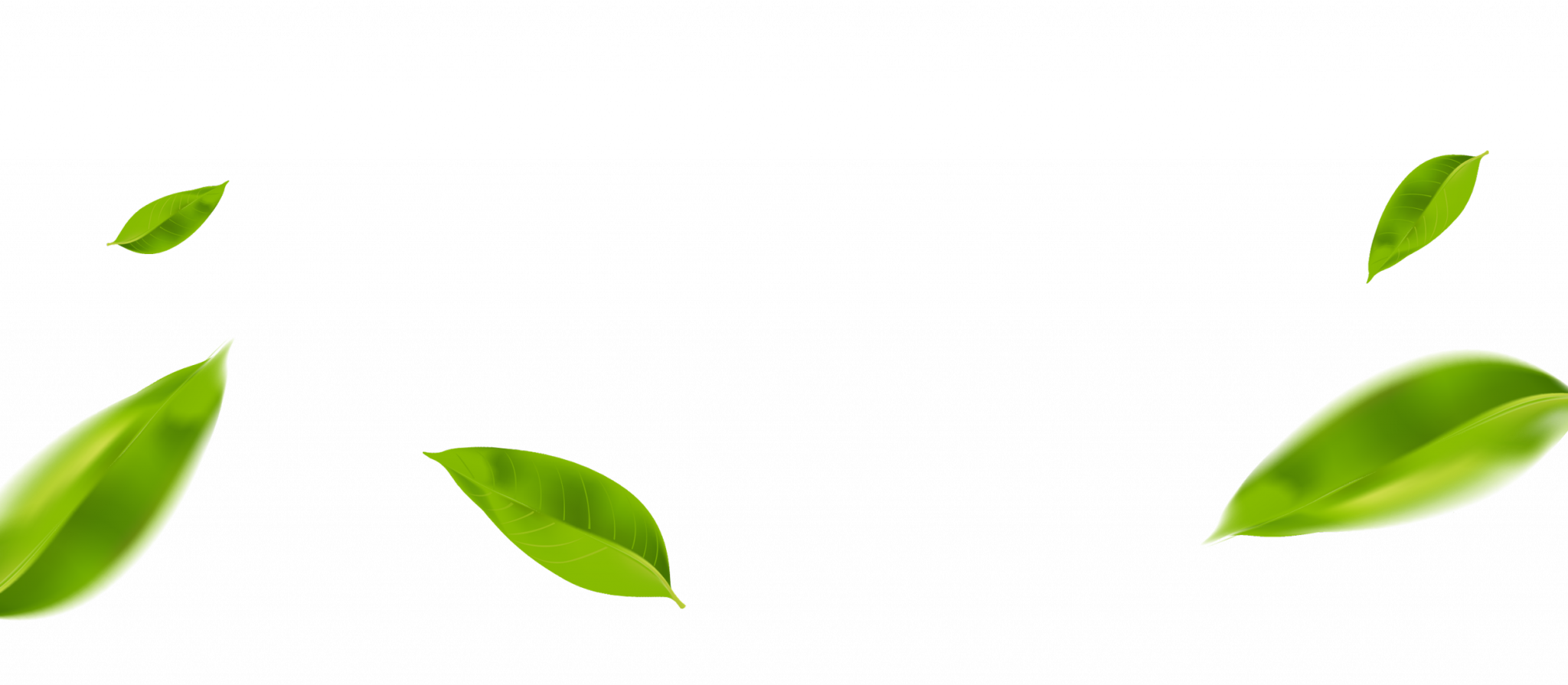 Camping Village Roma Capitol, Camping in Rome, Mobile homes Rome Lazio